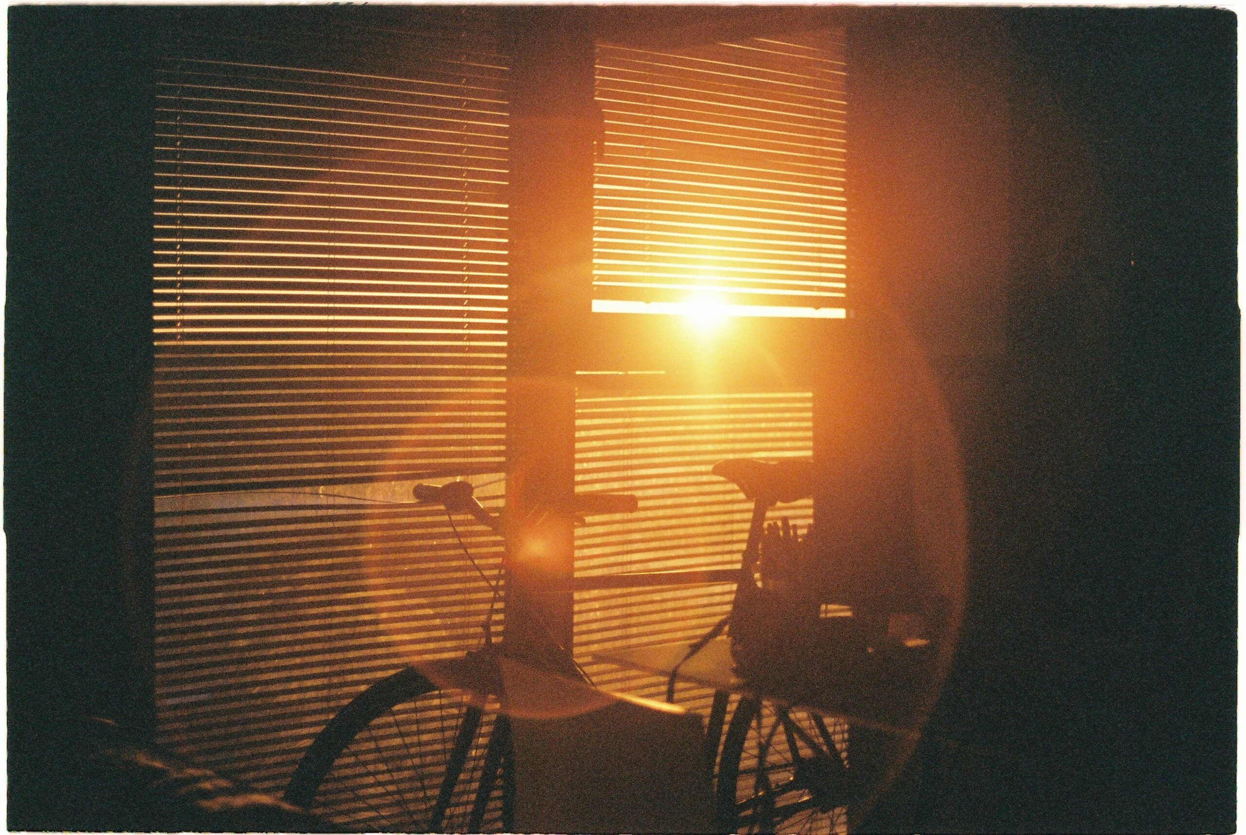 The Benefits of Sunscreen Blinds
