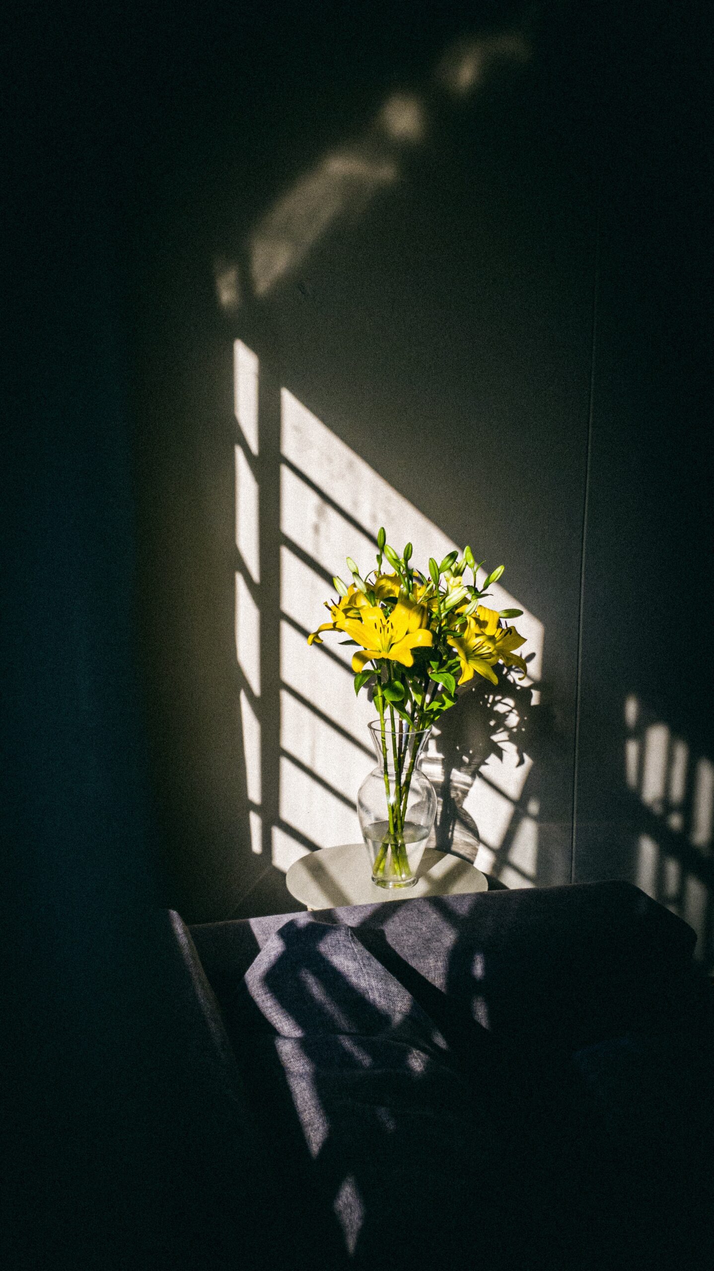 Sunscreen Blinds for Your Home the benefits